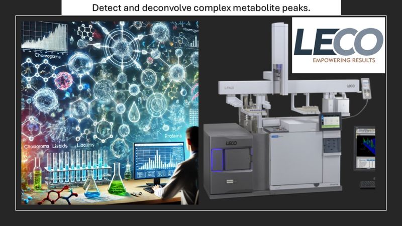 From Plasma to Insights: Decoding Metabolites with GCxGC-TOFMS
